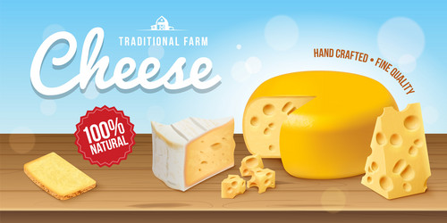 Realistic cheese label cheeses packaging labels Vector Image