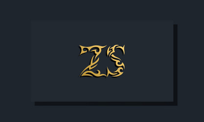 Minimal clip initial letter zs logo Royalty Free Vector