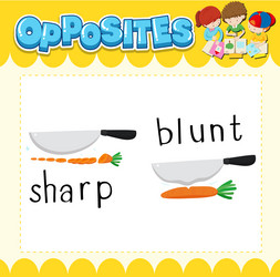Opposite adjectives with blunt and sharp Vector Image