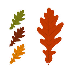 Leaves set autumn on white background Royalty Free Vector