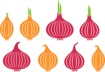 Onion flat design icon Royalty Free Vector Image