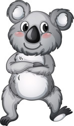 Koala Royalty Free Vector Image - VectorStock
