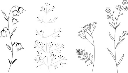 Forget Me not Outline Vector Images (over 130)