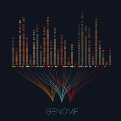 Genomic data visualization gene mapping dna Vector Image