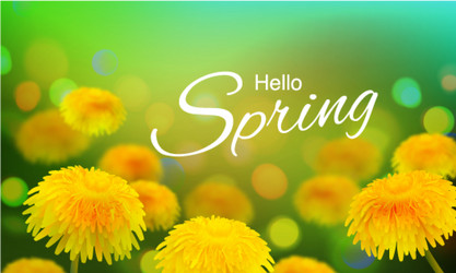 Spring Royalty Free Vector Image - VectorStock