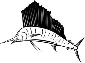 Atlantic sailfish or indo-pacific Royalty Free Vector Image