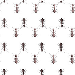 Ant Colony Vector Images (over 830)