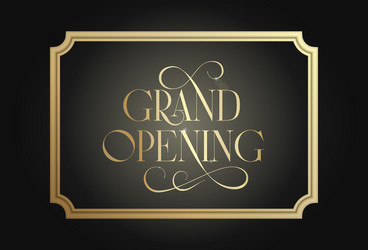 Grand opening advertising template promo Vector Image