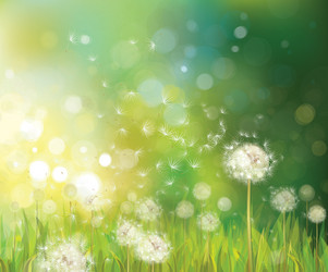 Spring nature background Royalty Free Vector Image