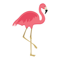 Realistic pink flamingo bird cute 3d wildlife Vector Image