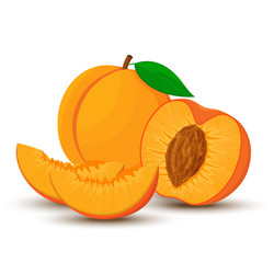 An image a peach from different directions Vector Image