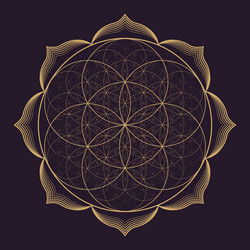 Mandala sacred geometry Royalty Free Vector Image