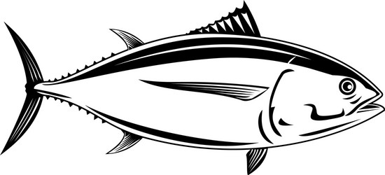 Albacore Vector Images (over 220)