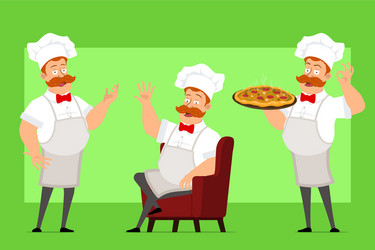 Fat Pizza Chef Vector Images (96)