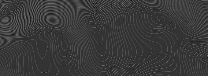 Heights of the topographic map contour in lines Vector Image