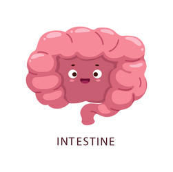 Gastroenteritis intestine cartoon character Vector Image