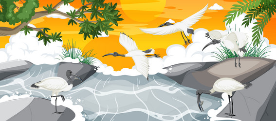 Animated Beach Sunset Background Vector Images (over 450)