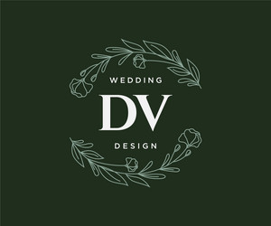 Dv initials letter wedding monogram logos Vector Image