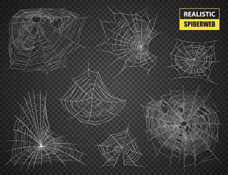 Four vertical realistic spiders poster set Vector Image