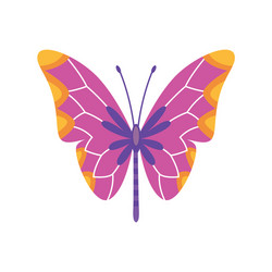 Silhouettes of butterfly stencil of moth wings Vector Image