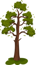 Cartoon tree Royalty Free Vector Image - VectorStock