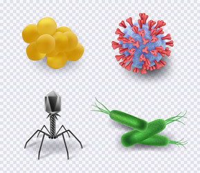 Microbiome Vector Images (over 1,300)