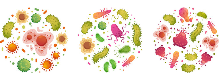 Germ Vector Images (over 53,000)