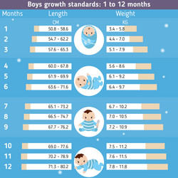 Child Development Info Infographic Vector Images (48)