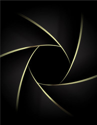 Photo camera icon gold camera icon isolated Vector Image