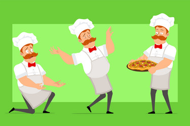 Fat Pizza Chef Vector Images (96)