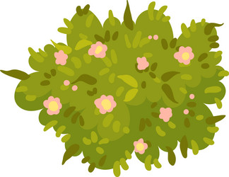 Shrubs Plan View Vector Images (72)