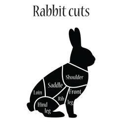Rabbit slicing scheme chart with numbers Vector Image