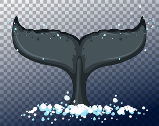 Whale Tale Vector Images (over 430)