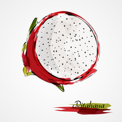 Pitahaya fruits Royalty Free Vector Image - VectorStock