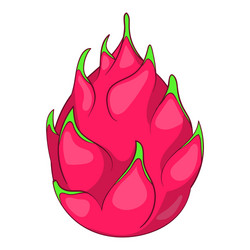 Dragon fruit cartoon Royalty Free Vector Image