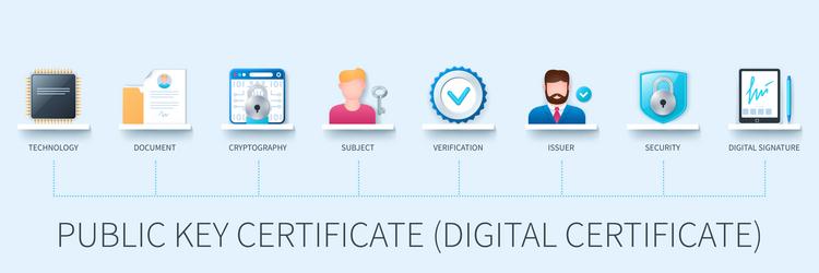 Public key certificate infographics in minimal Vector Image