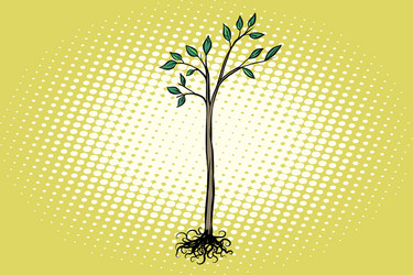 Seedling Vector Images (over 28,000)