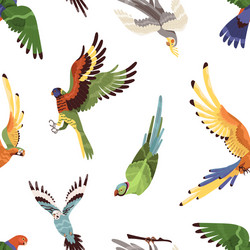 Tropical ara flying with spread wings Royalty Free Vector