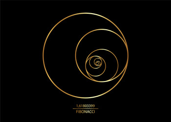 Mathematics formula of fibonacci spiral golden Vector Image