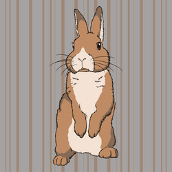 Fluffy Rabbit Vector Images (over 7,200)