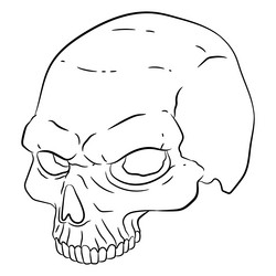 Side view skull hand-drawn Royalty Free Vector Image