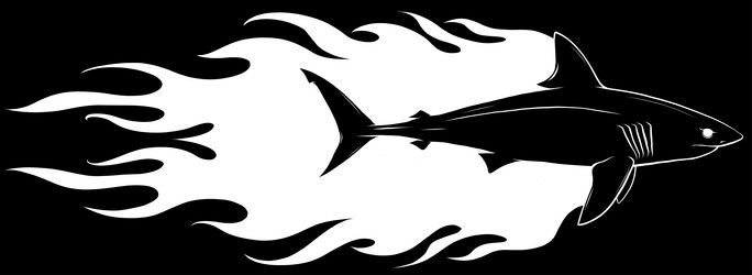 White silhouette of danger shark with flames fon Vector Image
