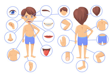 Character for Animation Body Parts Vector Images (over 2,100)