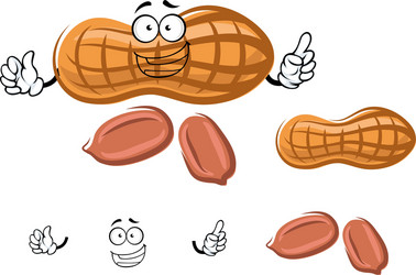Peanuts in Shell Vector Images (over 2,400)