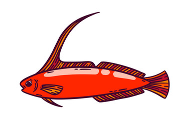 Fish sketch hand drawn set Royalty Free Vector Image