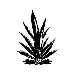 Agave icon hand draw black plant logo symbol Vector Image