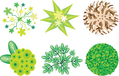 Aerial view of many tropical trees isolated Vector Image