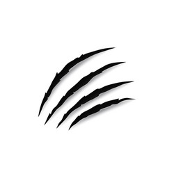 Claw Rip Vector Images (over 1,000)