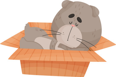 A cat inside the box Royalty Free Vector Image