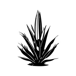 Agave icon hand draw black plant logo symbol Vector Image